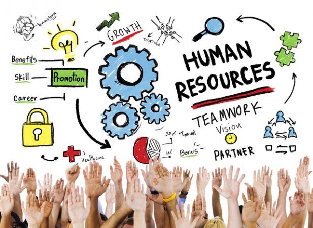 NGOの働く環境実態調査「NGOセンサス2017」公開 | 国際協力NGOセンター JANIC