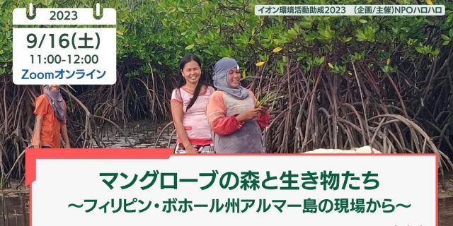 フィリピンのマングローブの森と生き物たち | 国際協力NGOセンター JANIC