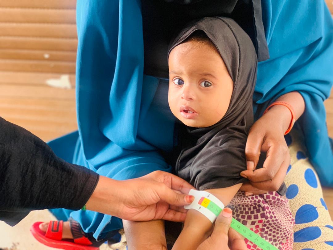 【12/12（木）イベント／ハイブリッド・無料】「希望を、贈ろう。」子どもの未来を創る食を届けたい - 国際協力NGOセンター JANIC